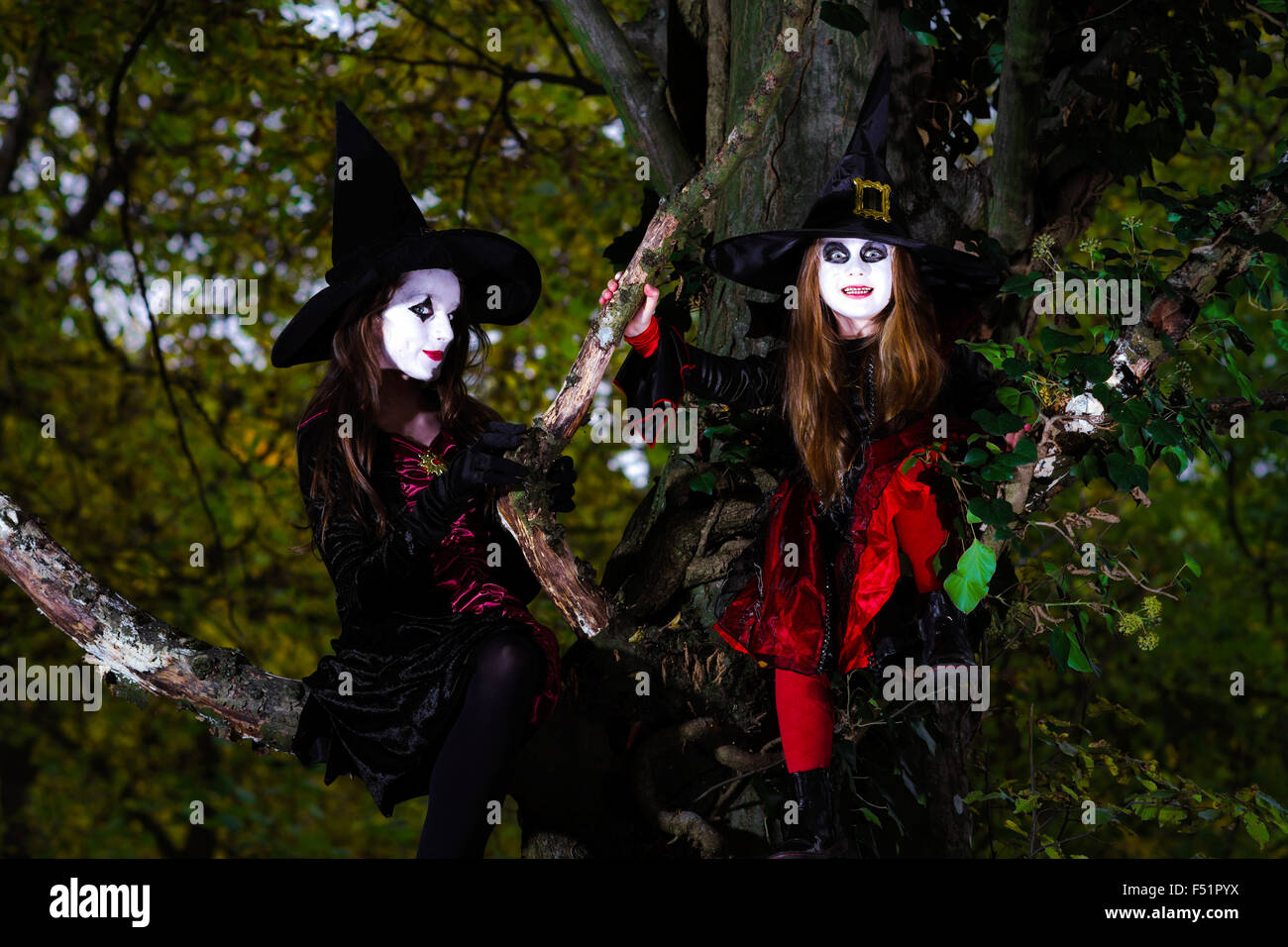 Children sitting on the bough hi-res stock photography and images - Alamy