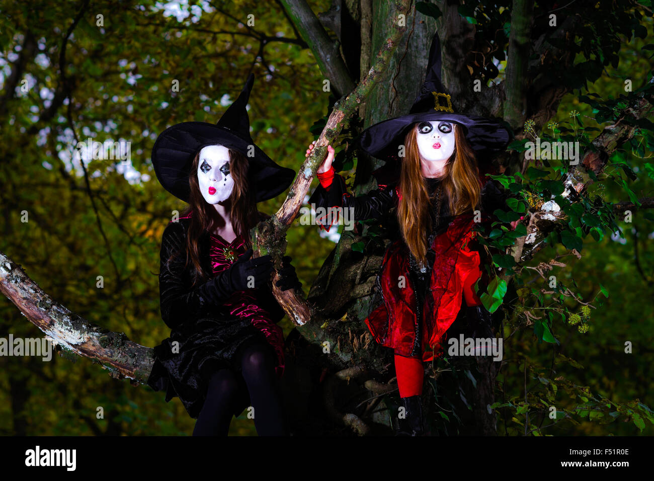 Two witches sitting on the tree in Halloween forest Stock Photo - Alamy
