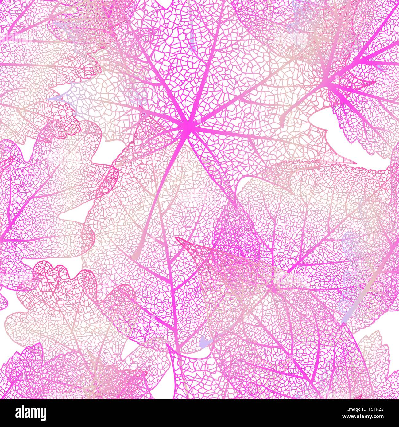 Detailed leaf structure Stock Vector Images - Alamy
