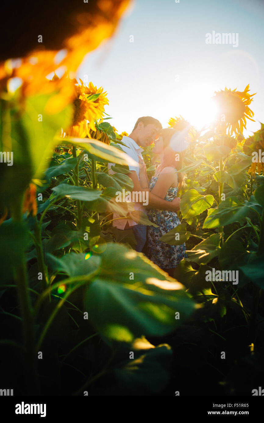 Romantic couple standing and kissing on background summer meadow ...