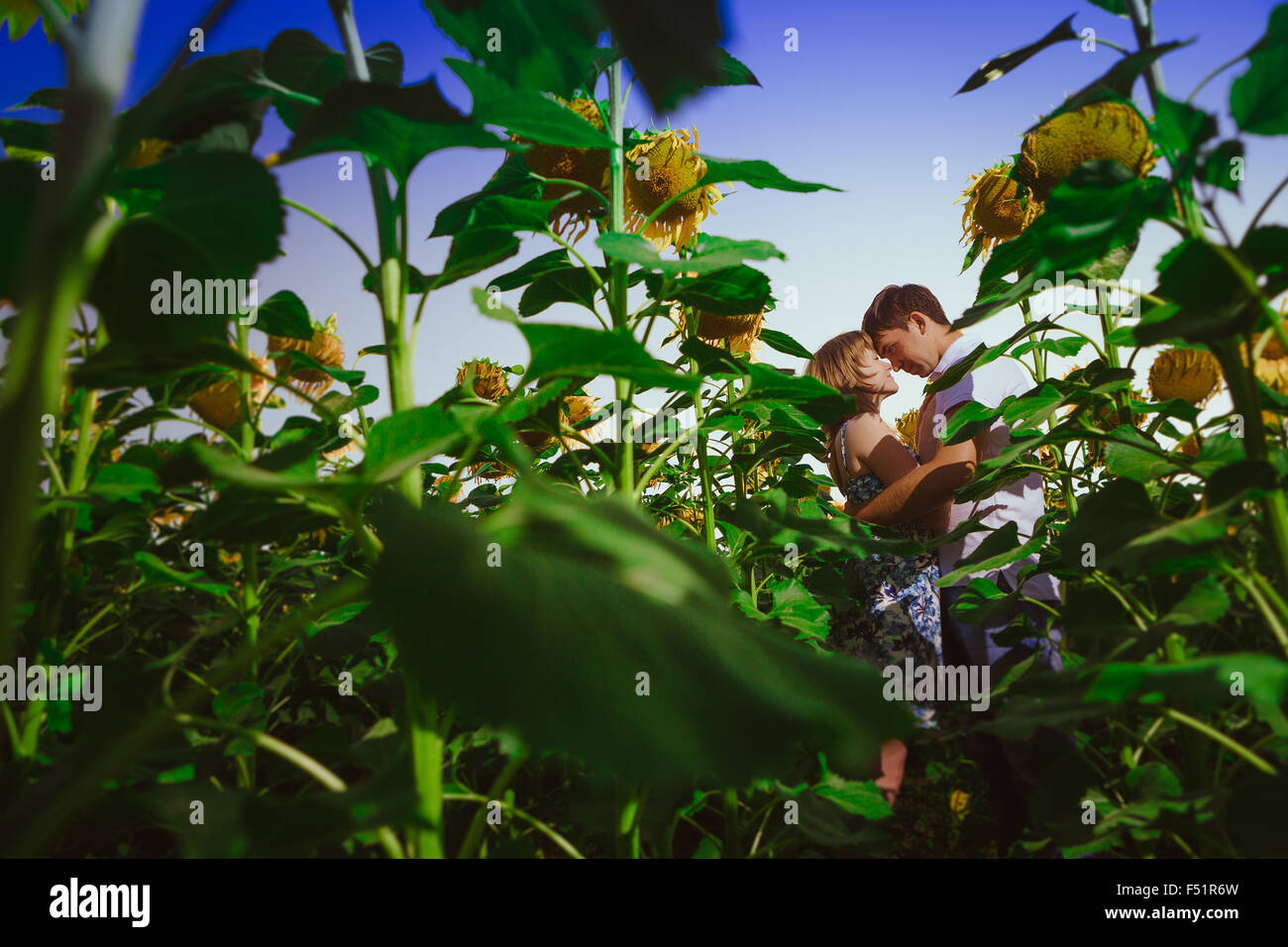 Romantic couple standing and kissing on background summer meadow ...
