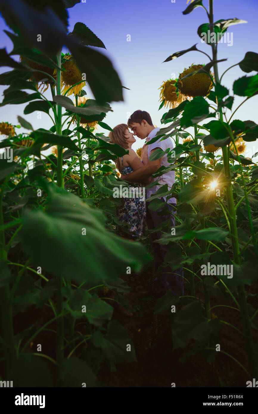 Romantic couple standing and kissing on background summer meadow ...