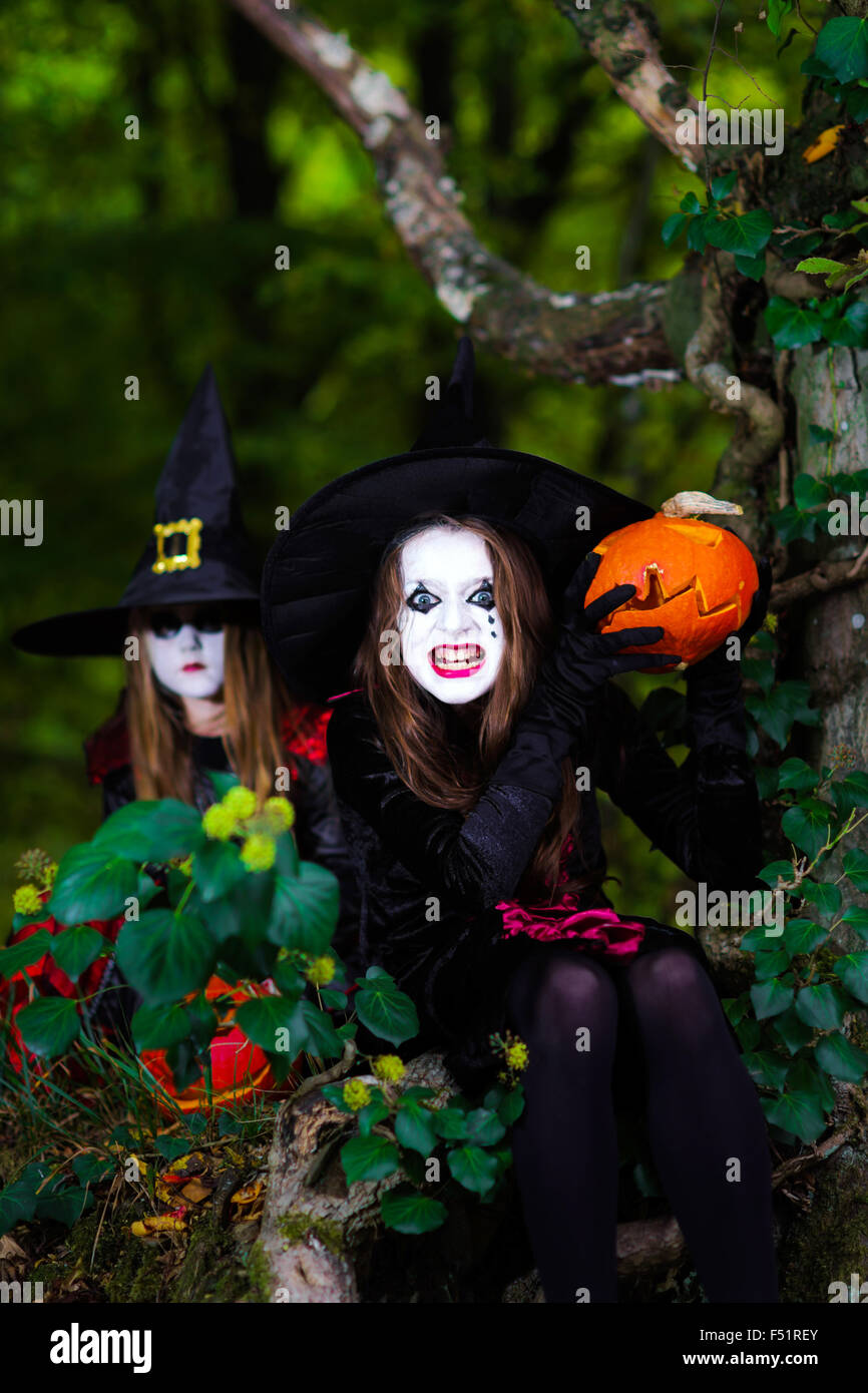 Two witches in the forest, Halloween concept, childhood Stock Photo - Alamy