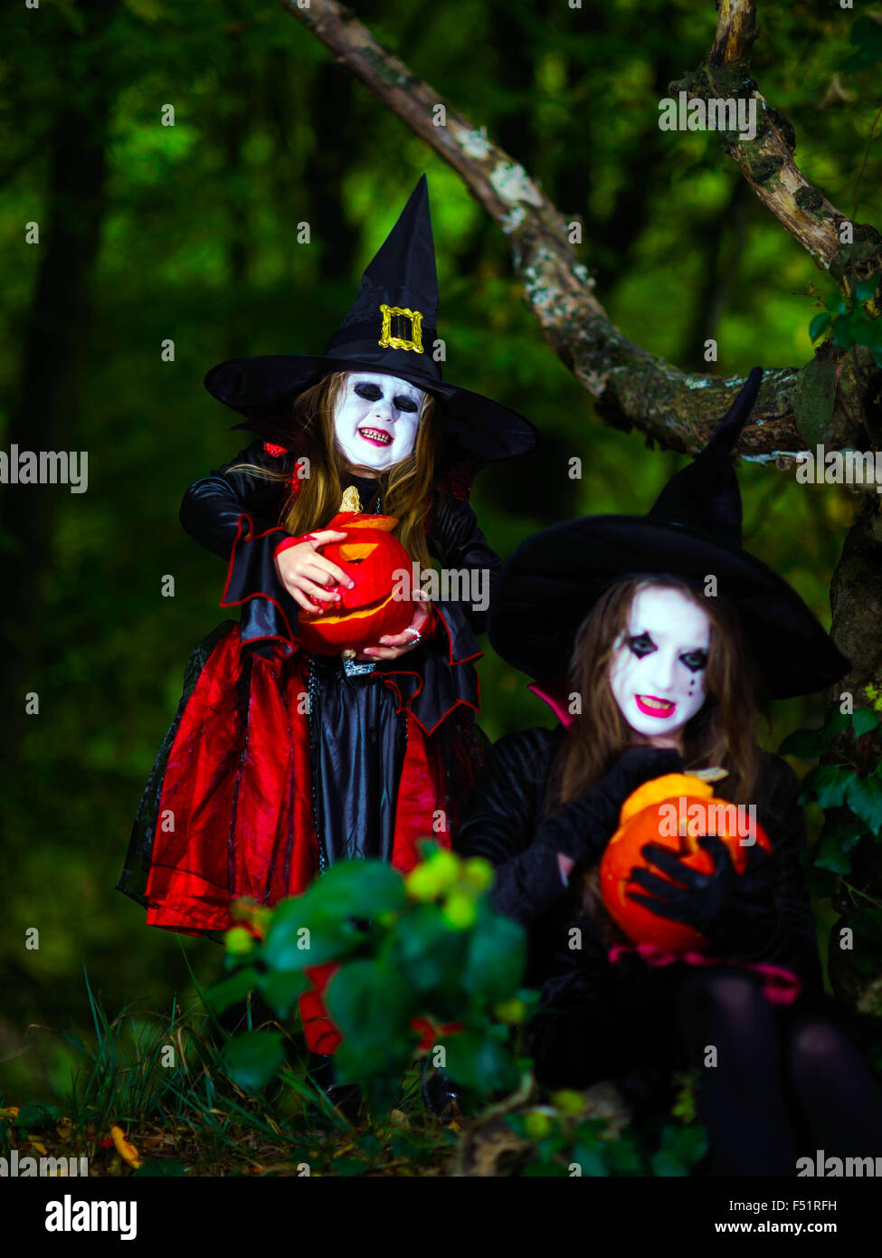 Two witches in the forest, Halloween concept, childhood Stock Photo - Alamy