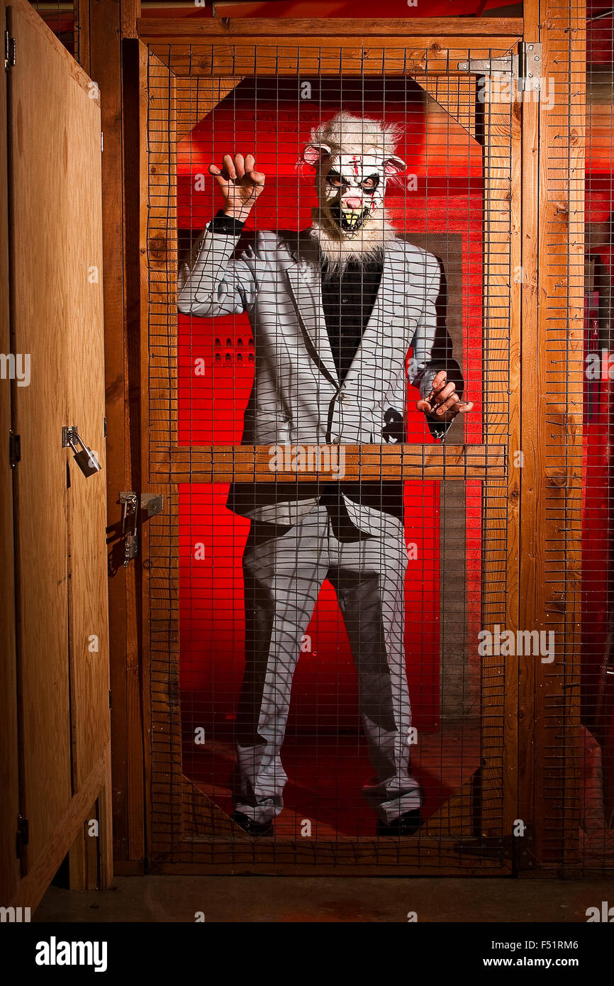 Man with rat mask in a suit behind a caged door Stock Photo - Alamy