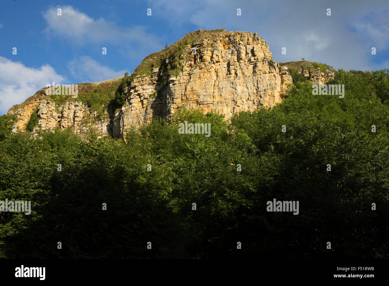 Sandstone cliffs at Sutton Bank, also known as Roulston Scar, is a hill ...
