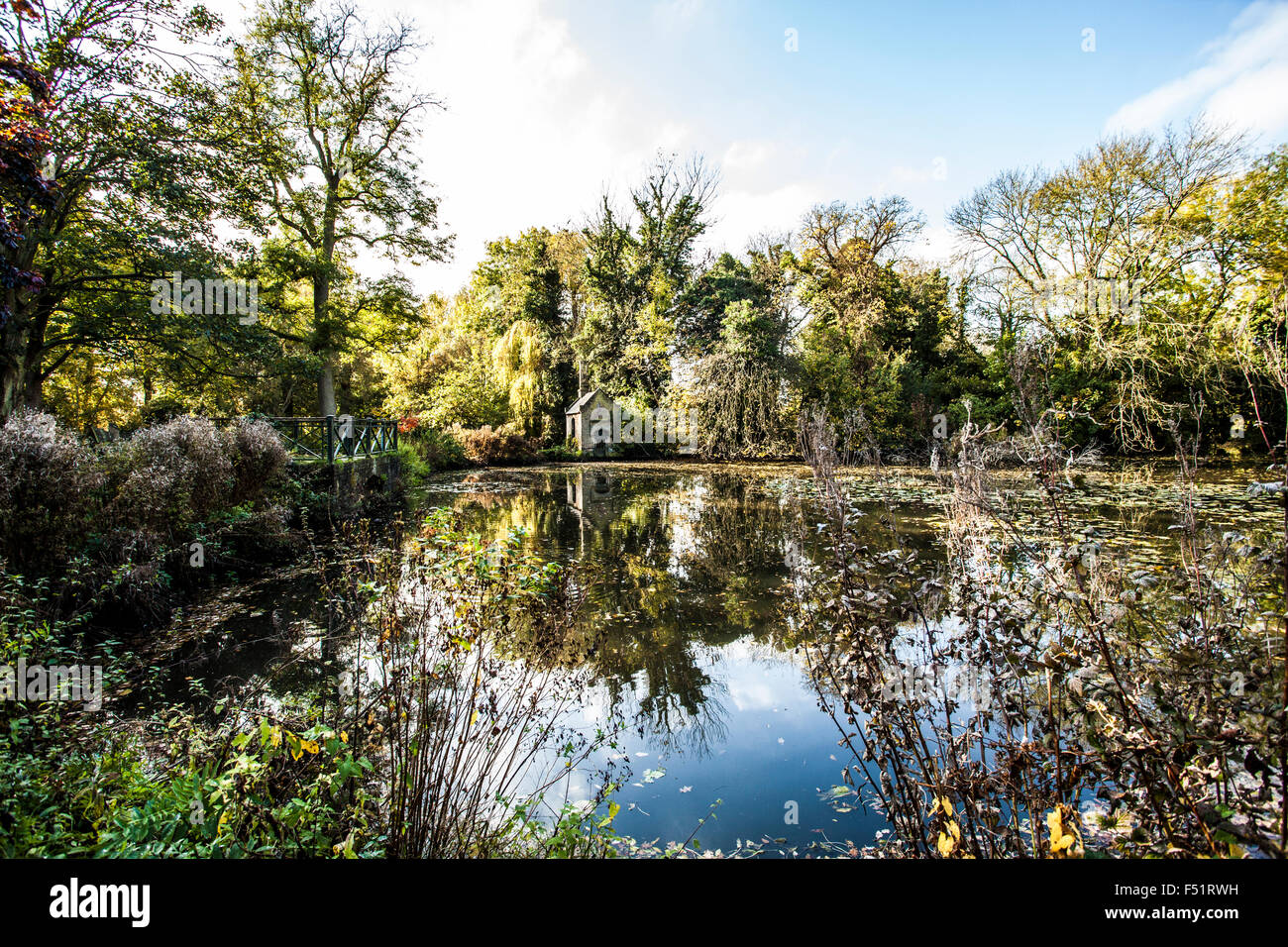 Reflection in a pond hi-res stock photography and images - Alamy