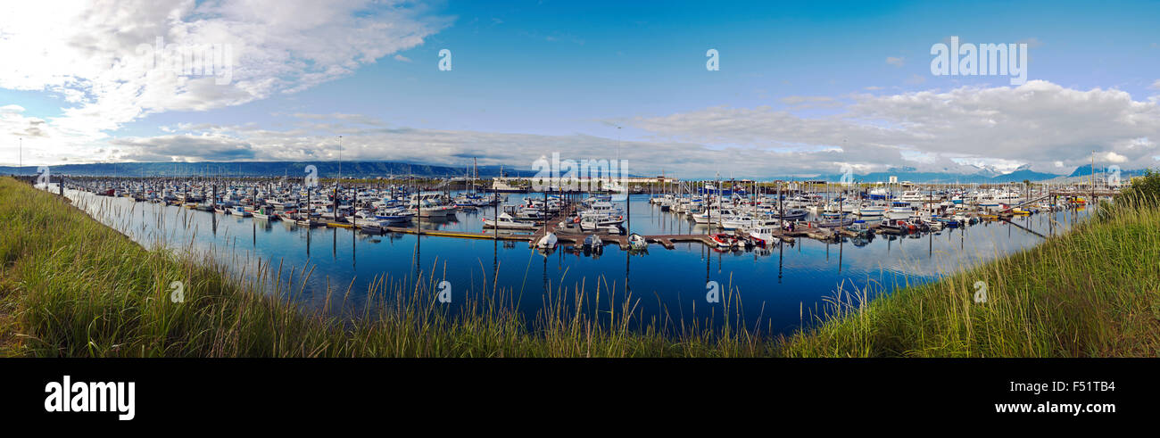 Panorama view of fishing boats, Homer Harbor, Homer, Alaska, USA Stock ...