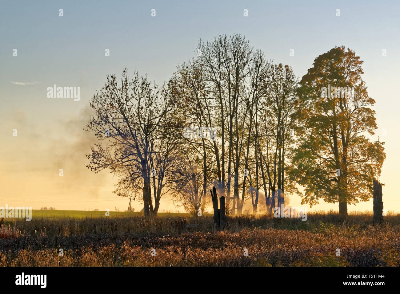 Fire in a cold October evening Stock Photo - Alamy