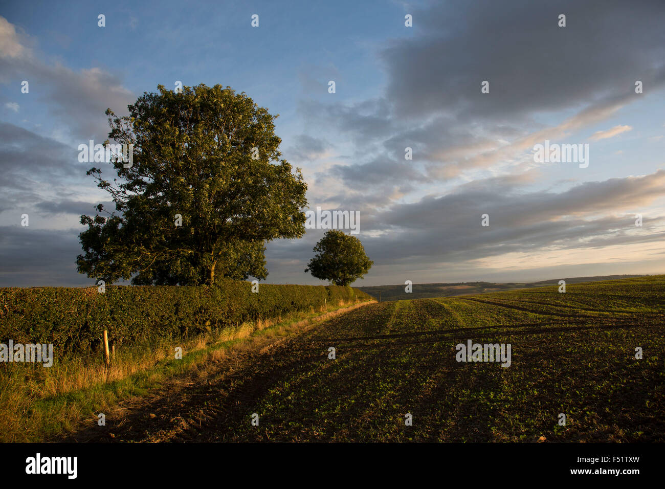 Hambleton hills hi-res stock photography and images - Alamy