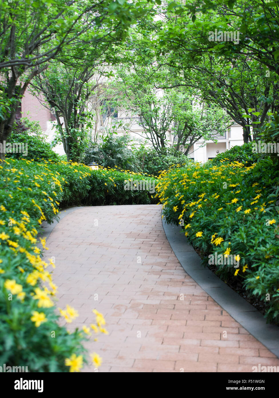 road in a residential area Stock Photo - Alamy