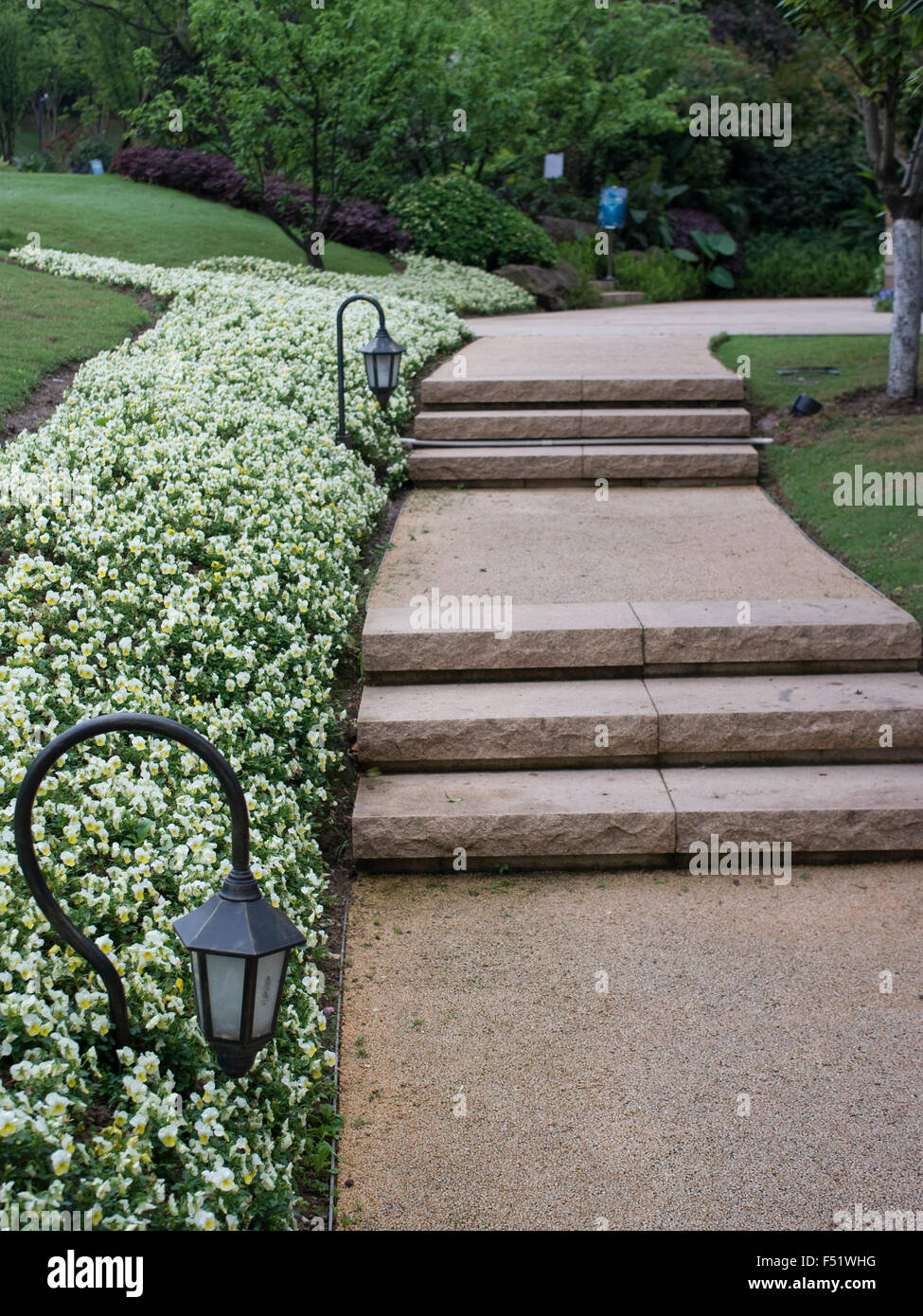 road in a residential area Stock Photo - Alamy