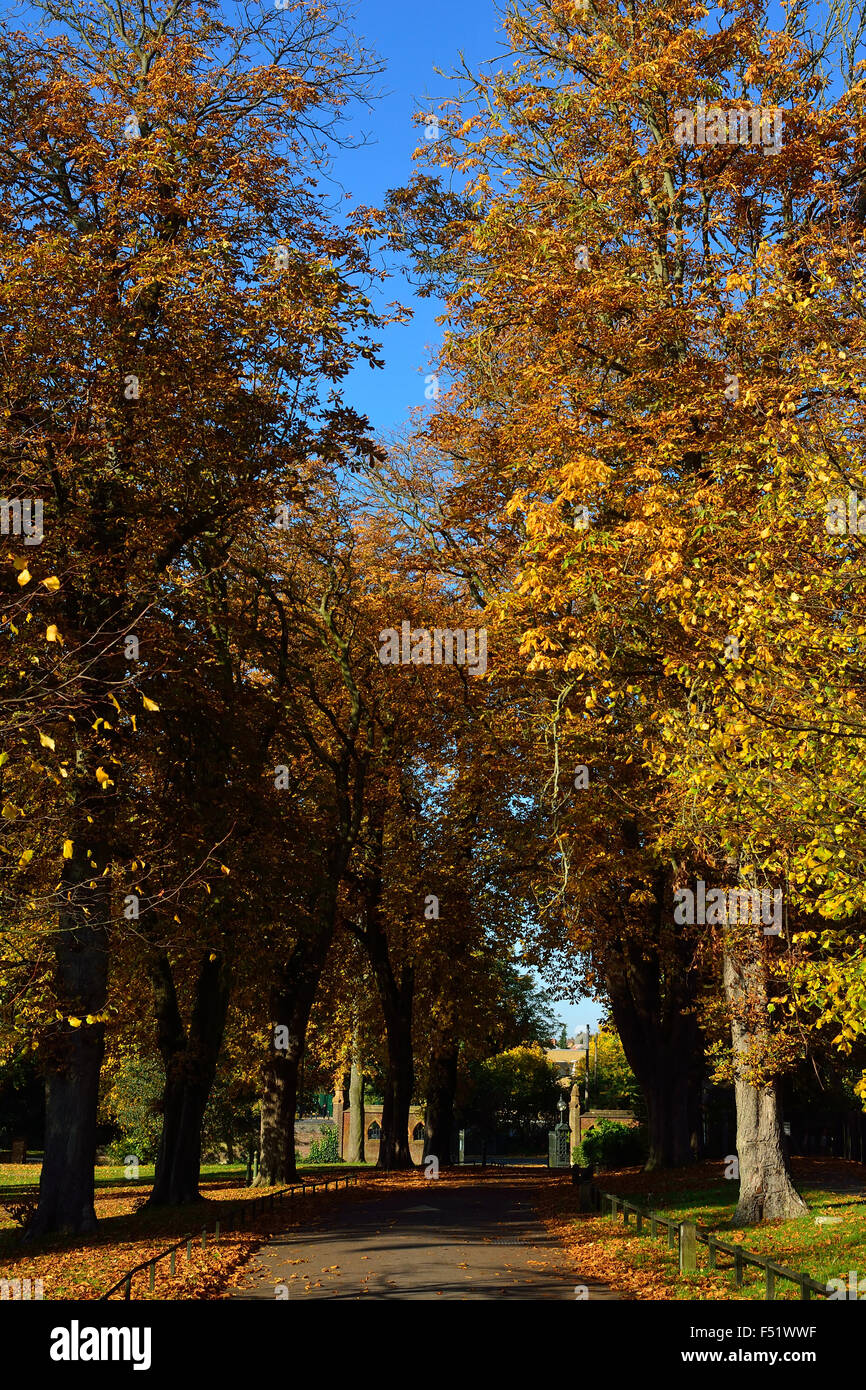 Luton park wardown park hi-res stock photography and images - Alamy