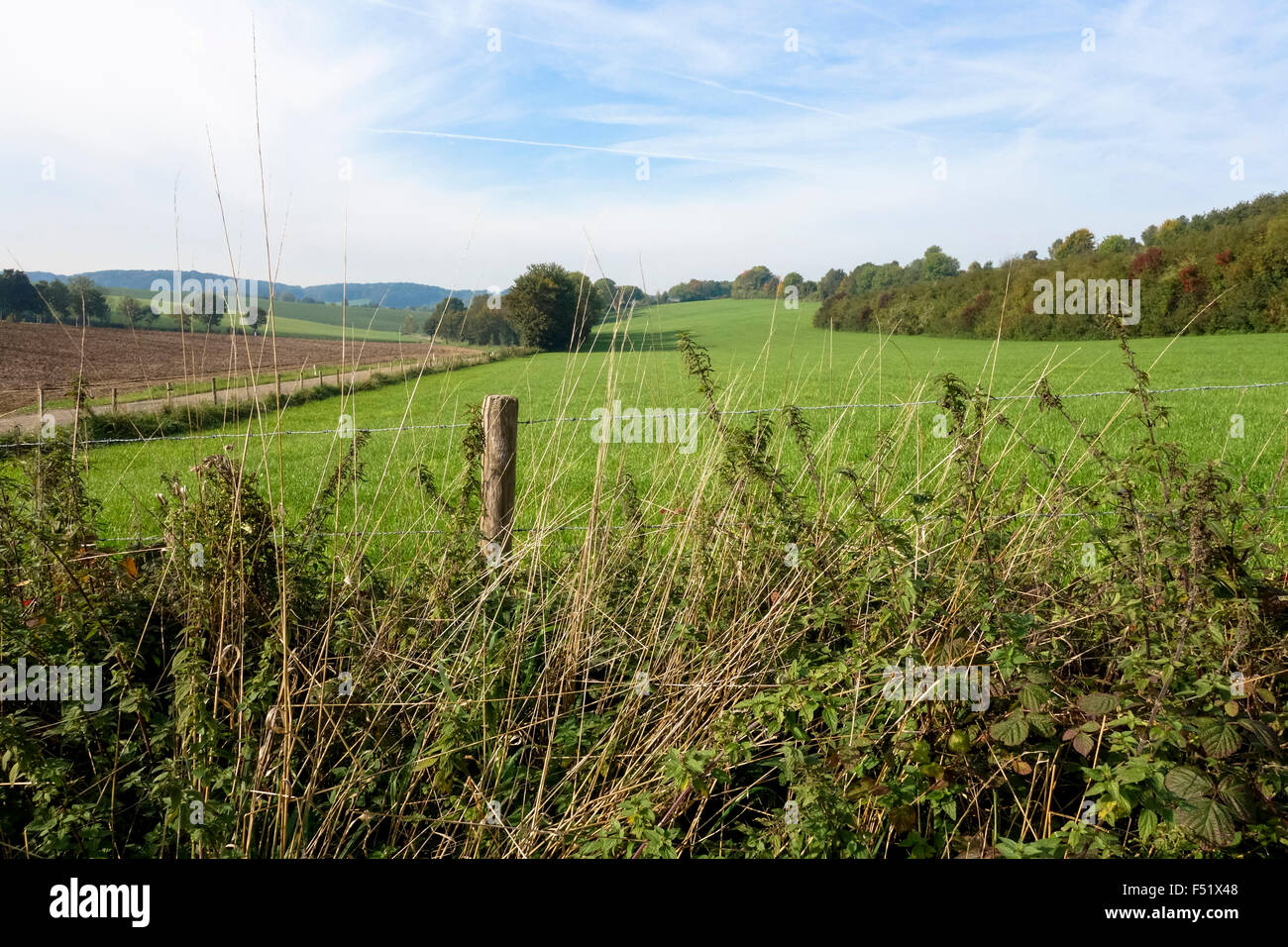 Road through Dutch Hills, Heuvelland, Typical Landscape in southern ...