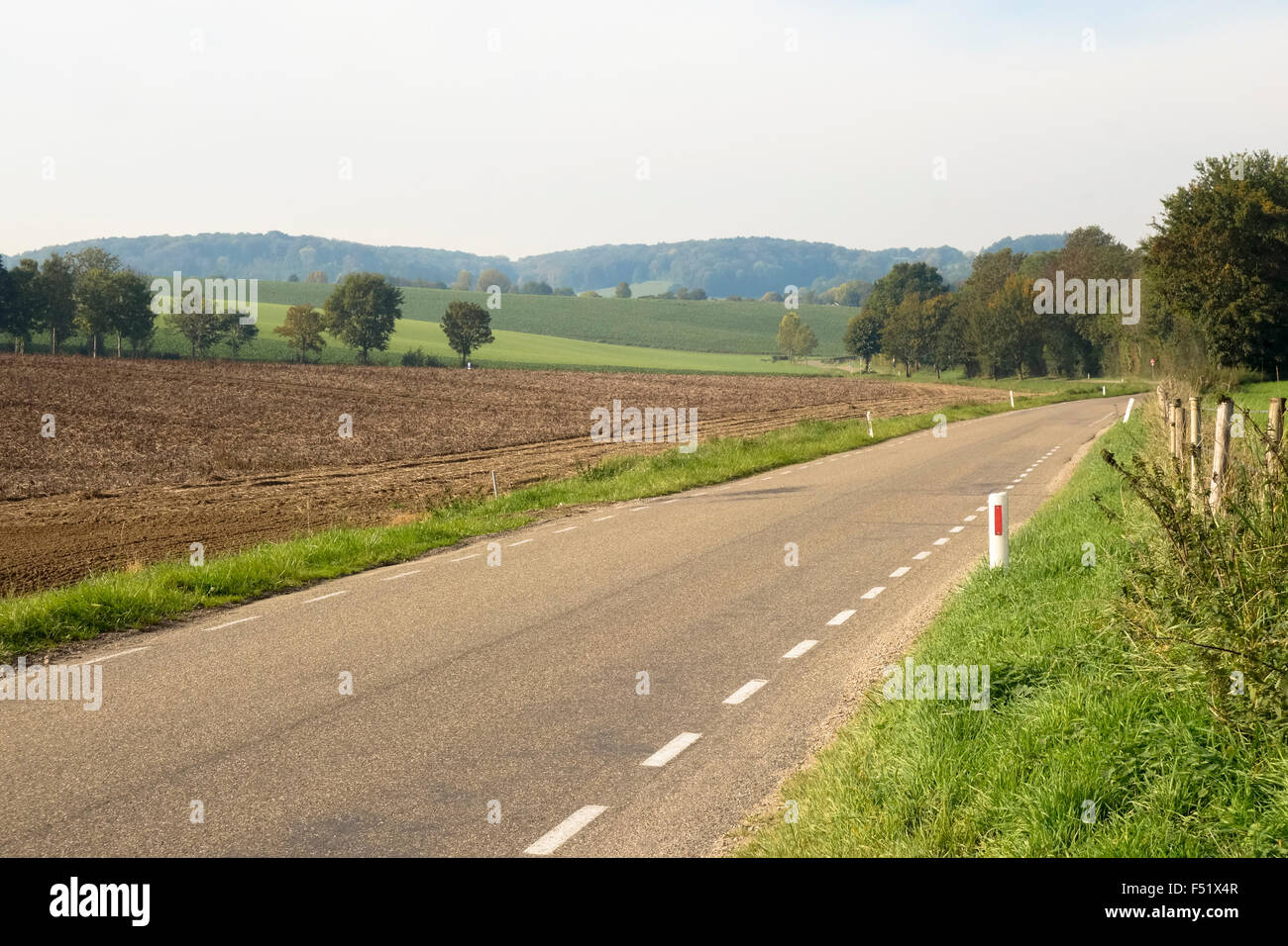 Road through Dutch Hills, Heuvelland, Typical Landscape in southern ...