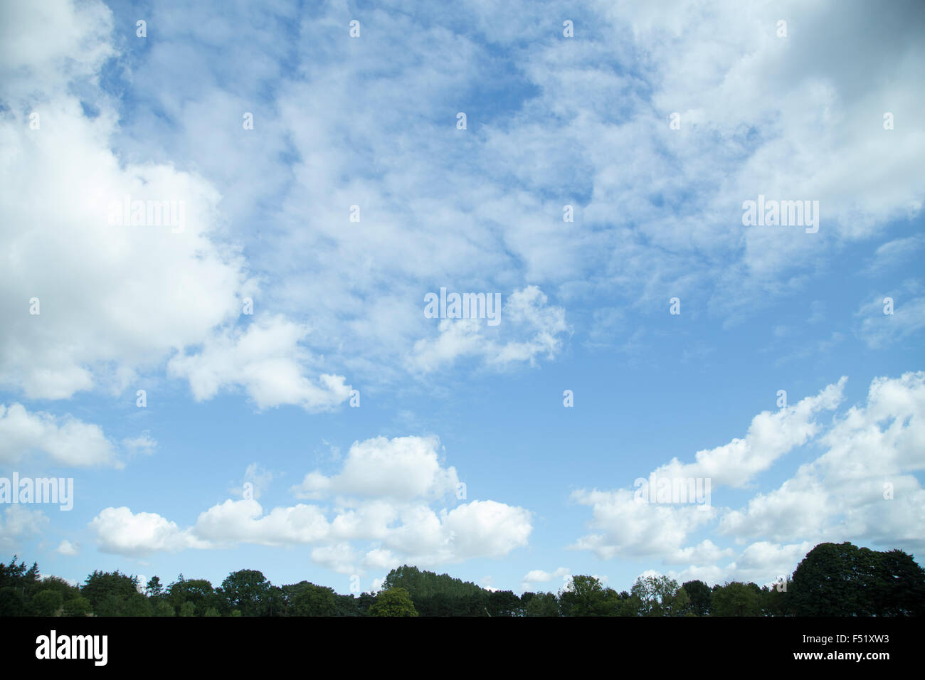 Clouds in the sky with a low tree line Stock Photo - Alamy