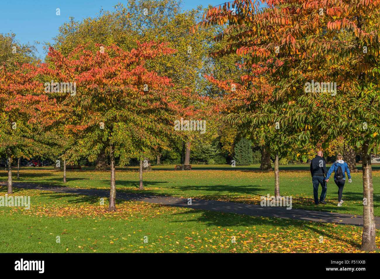 Battersea, London, UK. 26th October, 2015. UK Weather: Sunny crisp ...