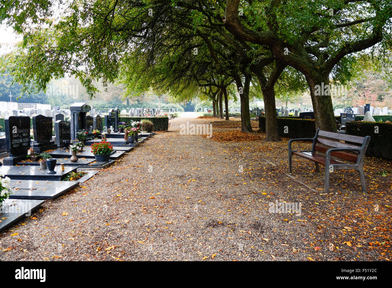 Netherlands cemetery hi-res stock photography and images - Alamy