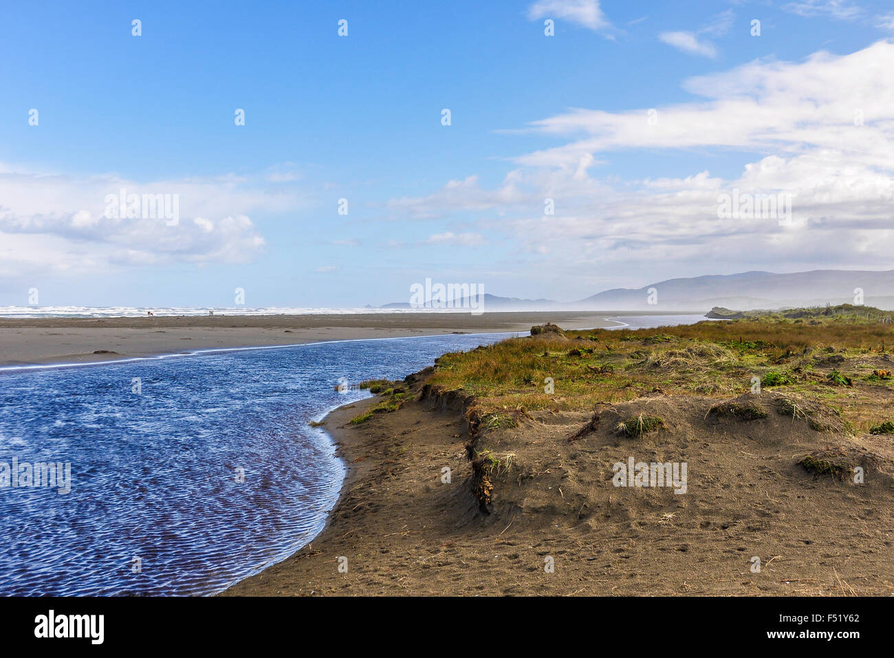 Beach in the national park, Chiloe Island, Patagonia, Chile Stock Photo ...