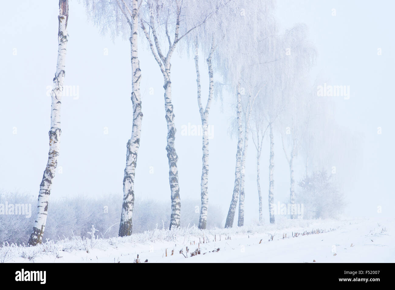 Winterimpression in Sterley Stock Photo - Alamy