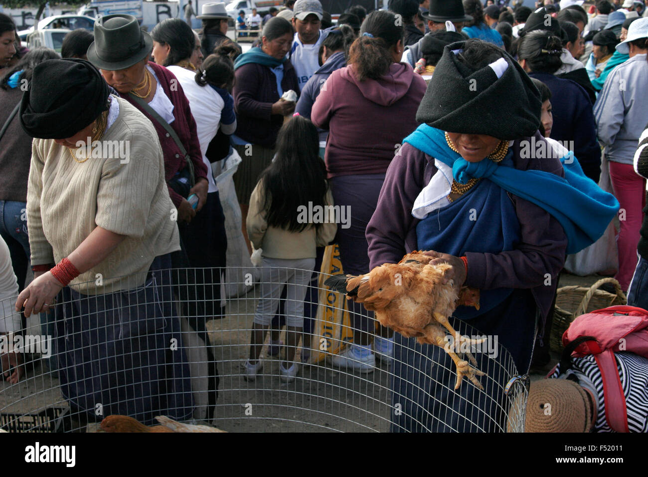 Indigenous Quechua people shopping at Otavalo market, Ecuador, South ...