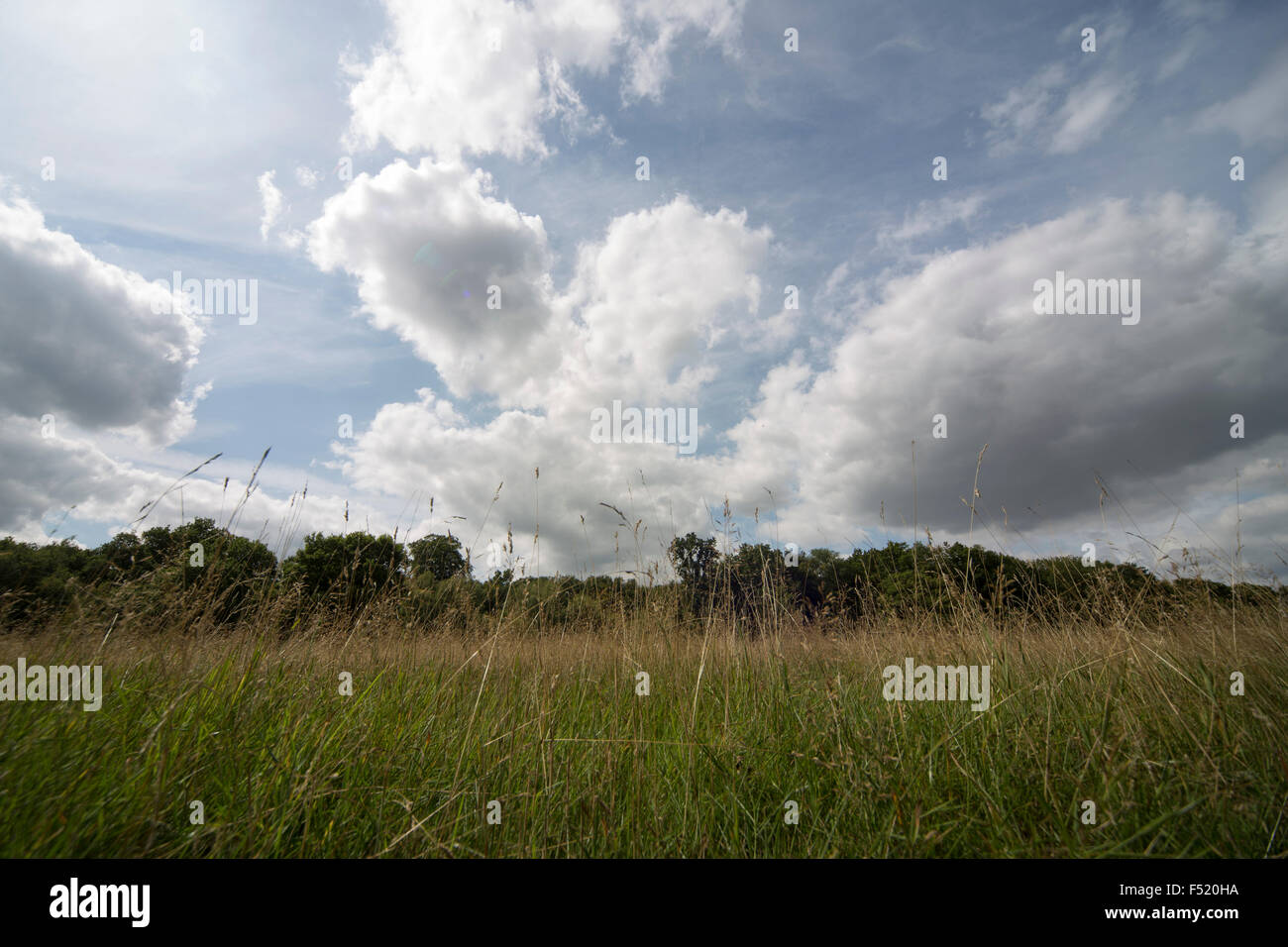 Long lens landscape hi-res stock photography and images - Alamy