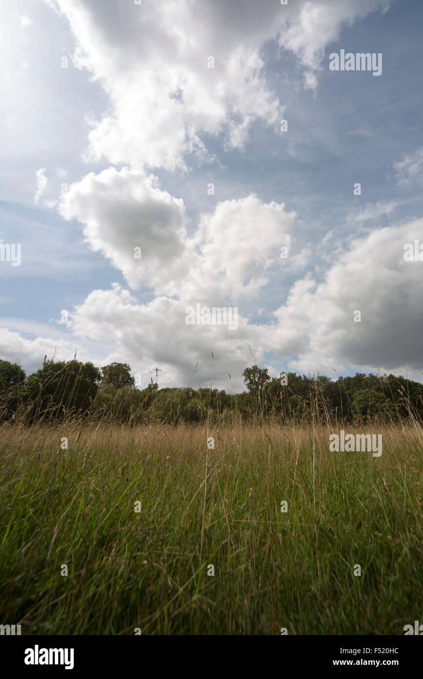 Long lens landscape hi-res stock photography and images - Alamy