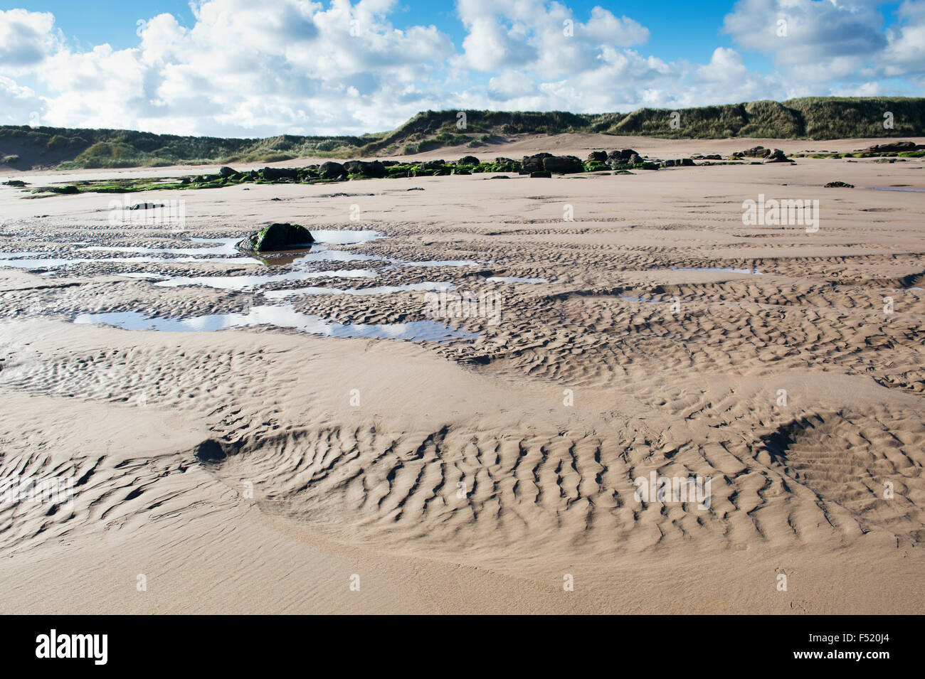 Rippled sand and sea water on a beach at low tide. Scremerston, Berwick ...