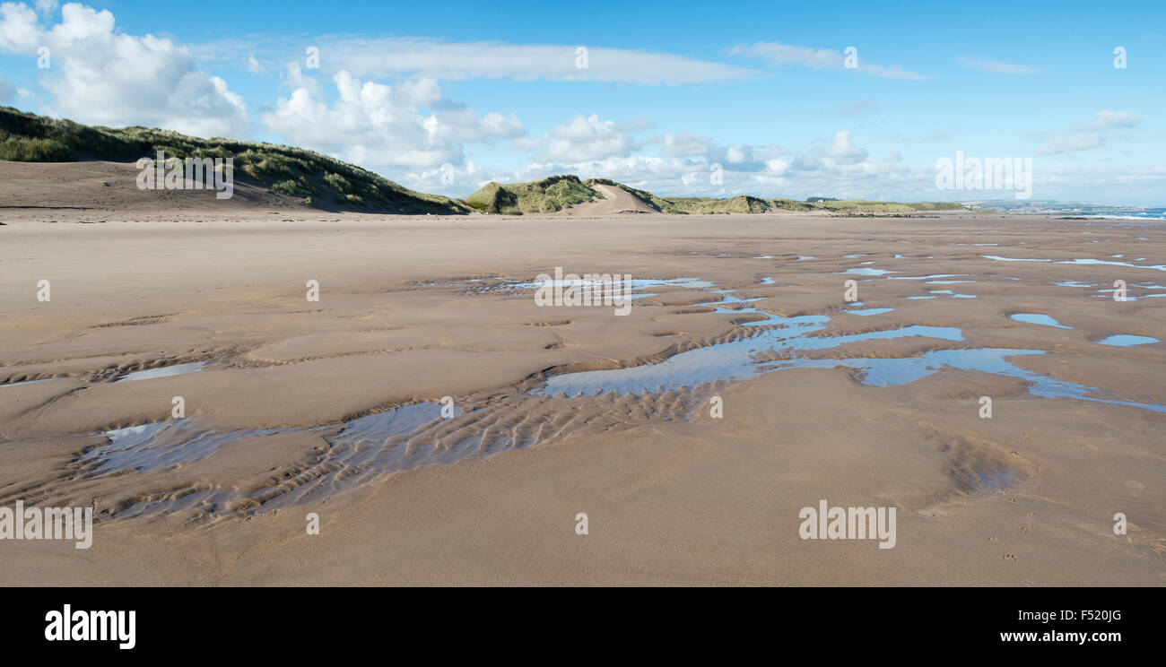 Rippled sand and sea water on a beach at low tide. Scremerston, Berwick ...
