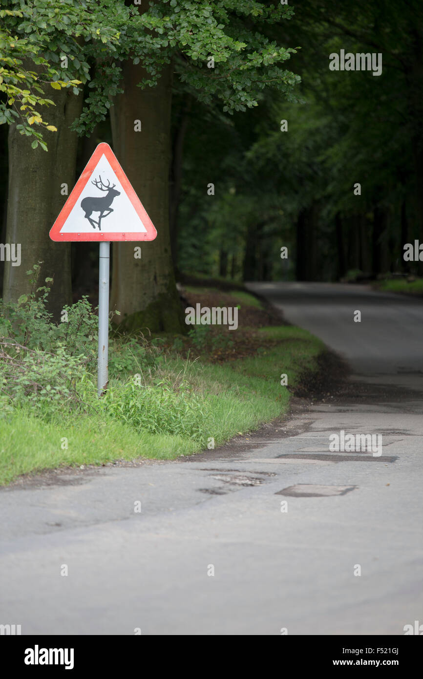 Deer warning sign hi-res stock photography and images - Alamy