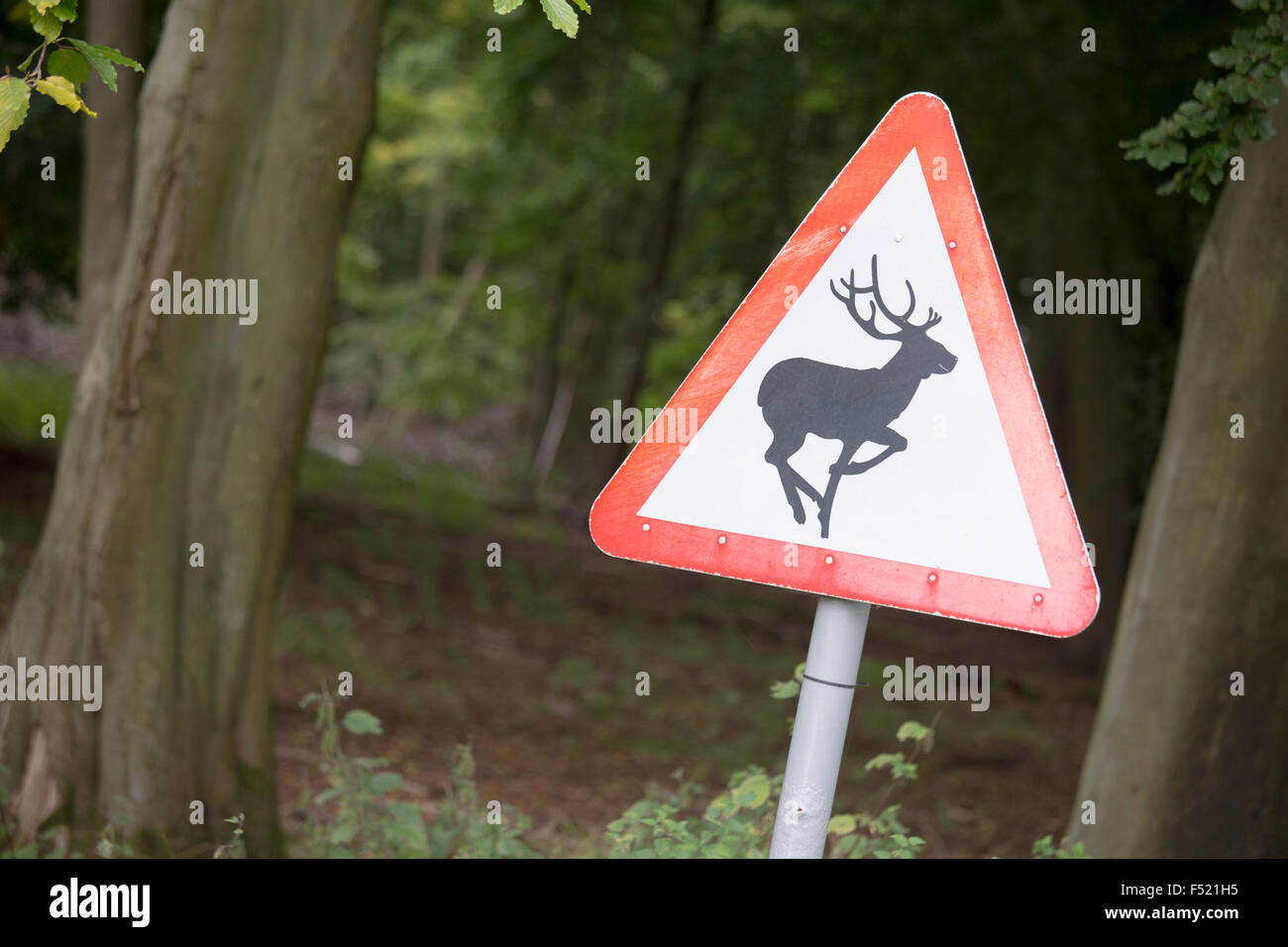 Deer warning sign hi-res stock photography and images - Alamy