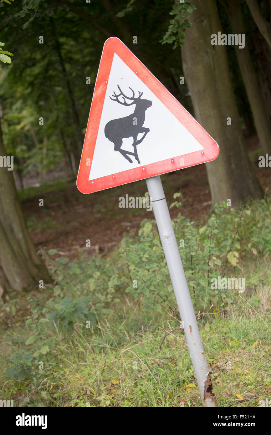 Deer warning sign hi-res stock photography and images - Alamy