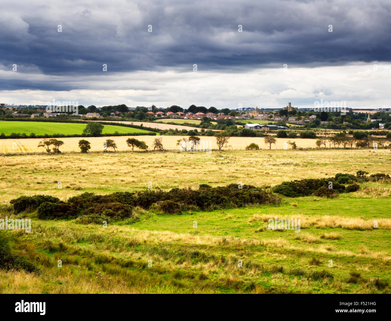 View Across Fields to Warkworth Castle from Amble by the Sea ...