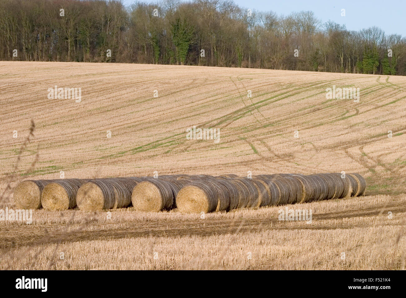 Bails of hay in farmers field Stock Photo - Alamy