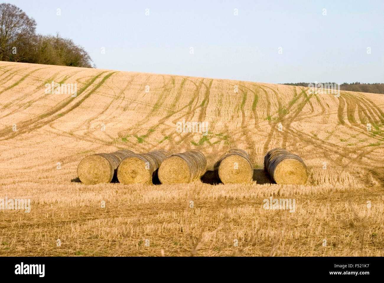 Bales of hay Stock Photo - Alamy