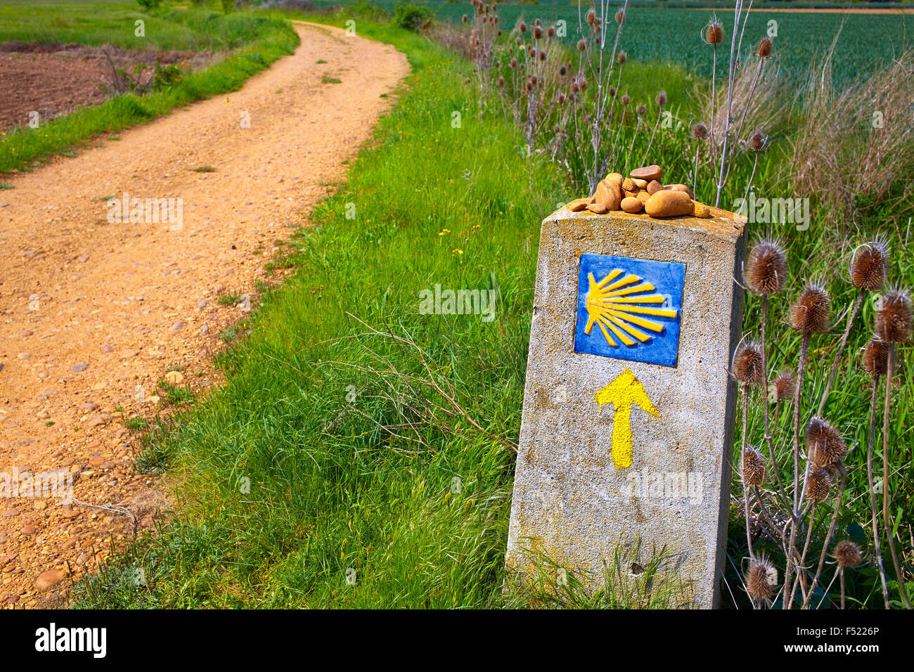The Way of Saint James shell sign and yellow arrow in Castilla Leon of ...