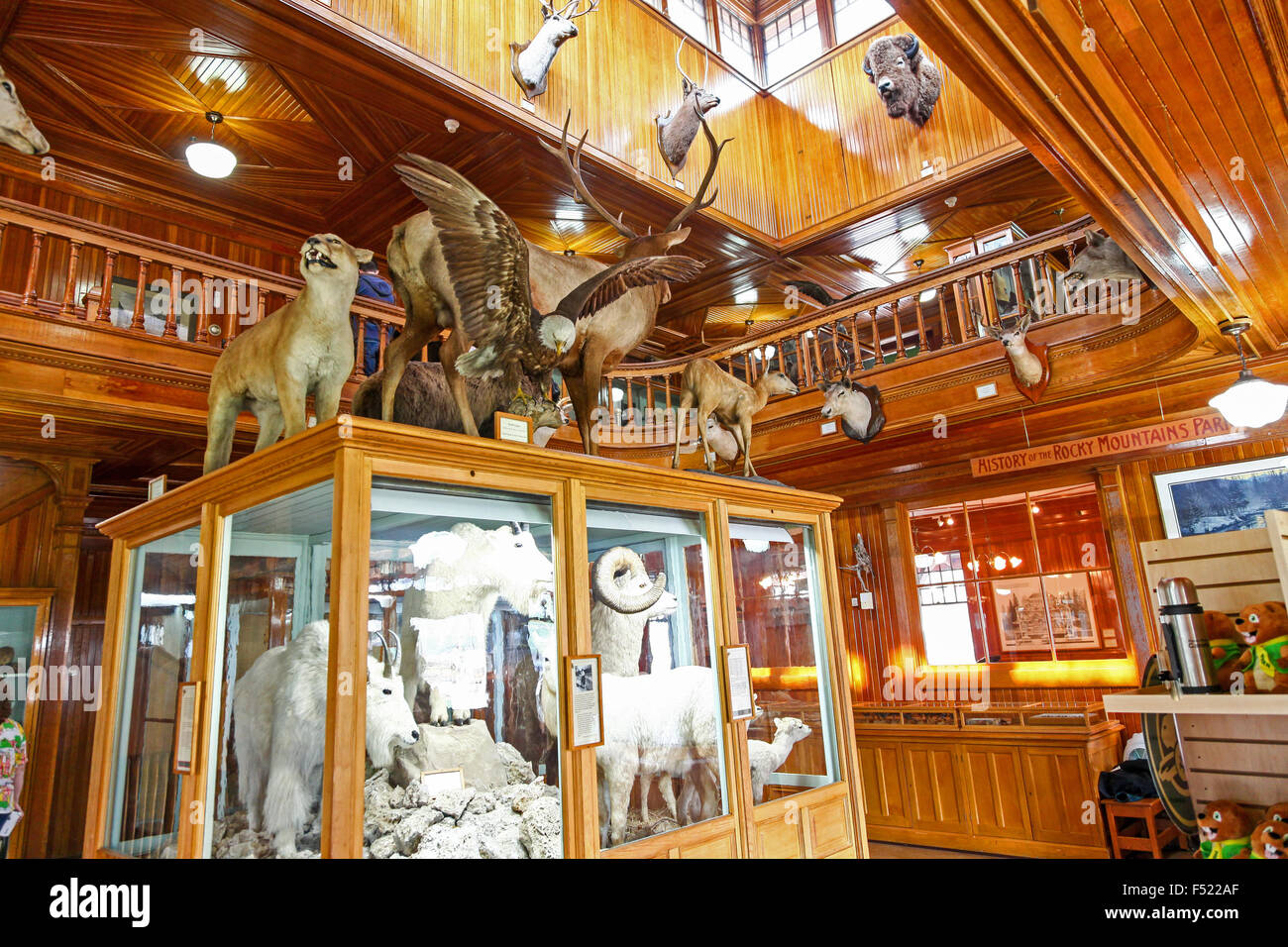 Exhibits inside Banff Park Museum National Historic Site Banff, Alberta ...