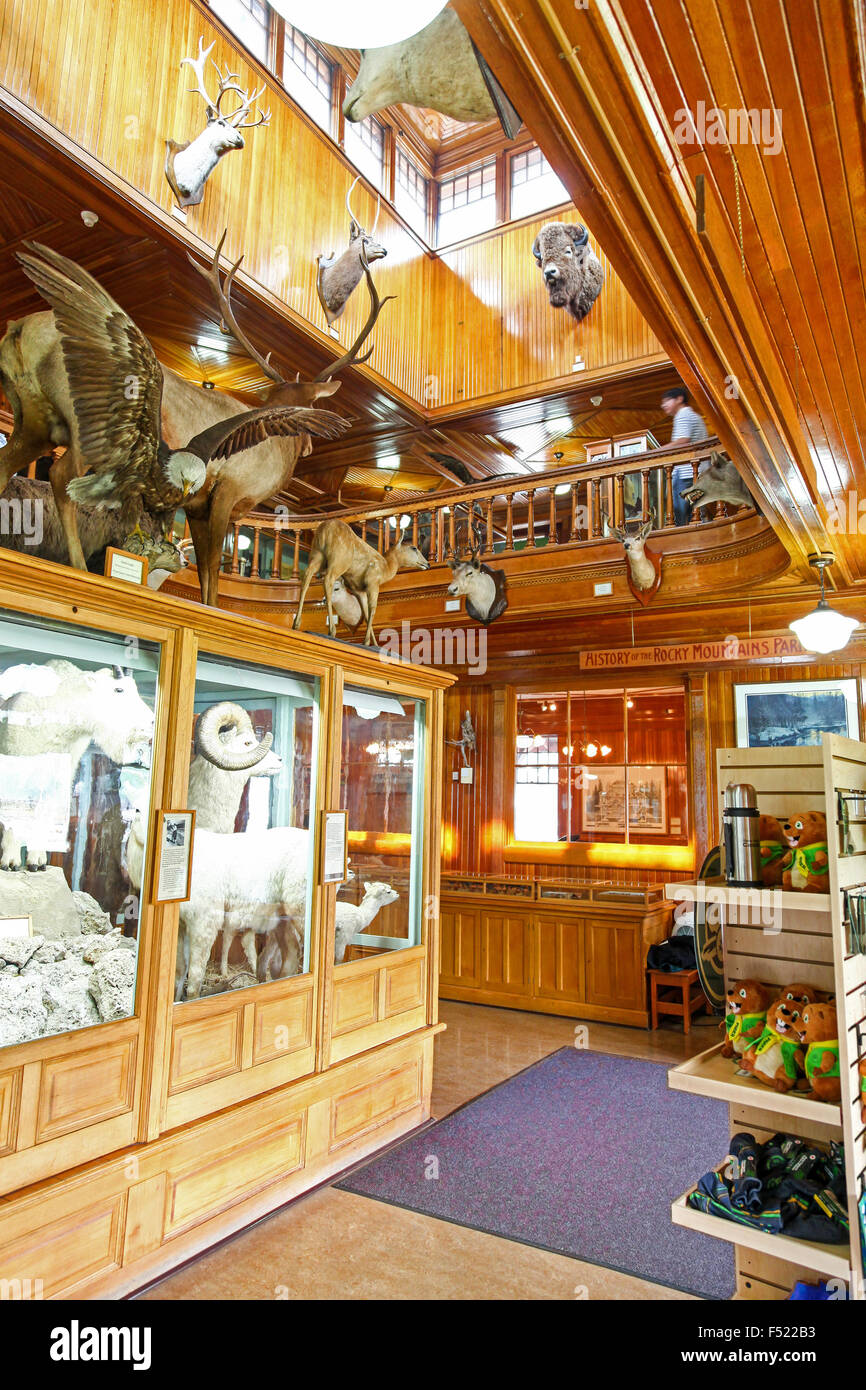 Exhibits inside Banff Park Museum National Historic Site Banff, Alberta ...