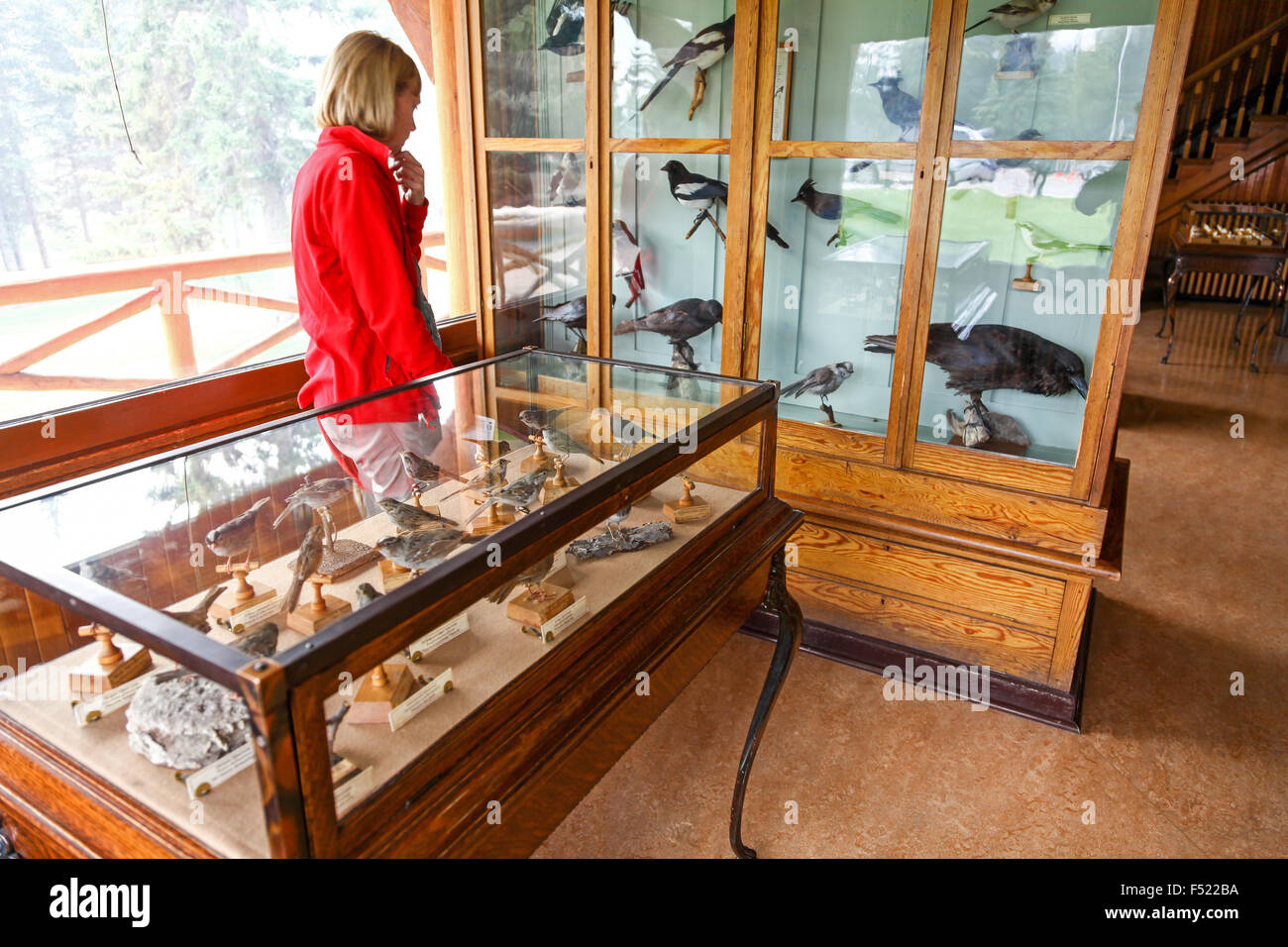 Exhibits inside Banff Park Museum National Historic Site Banff, Alberta ...