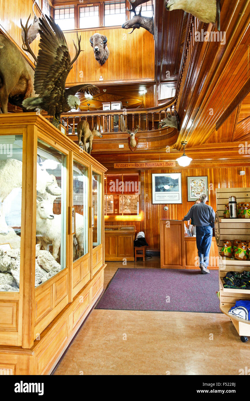 Exhibits inside Banff Park Museum National Historic Site Banff, Alberta ...