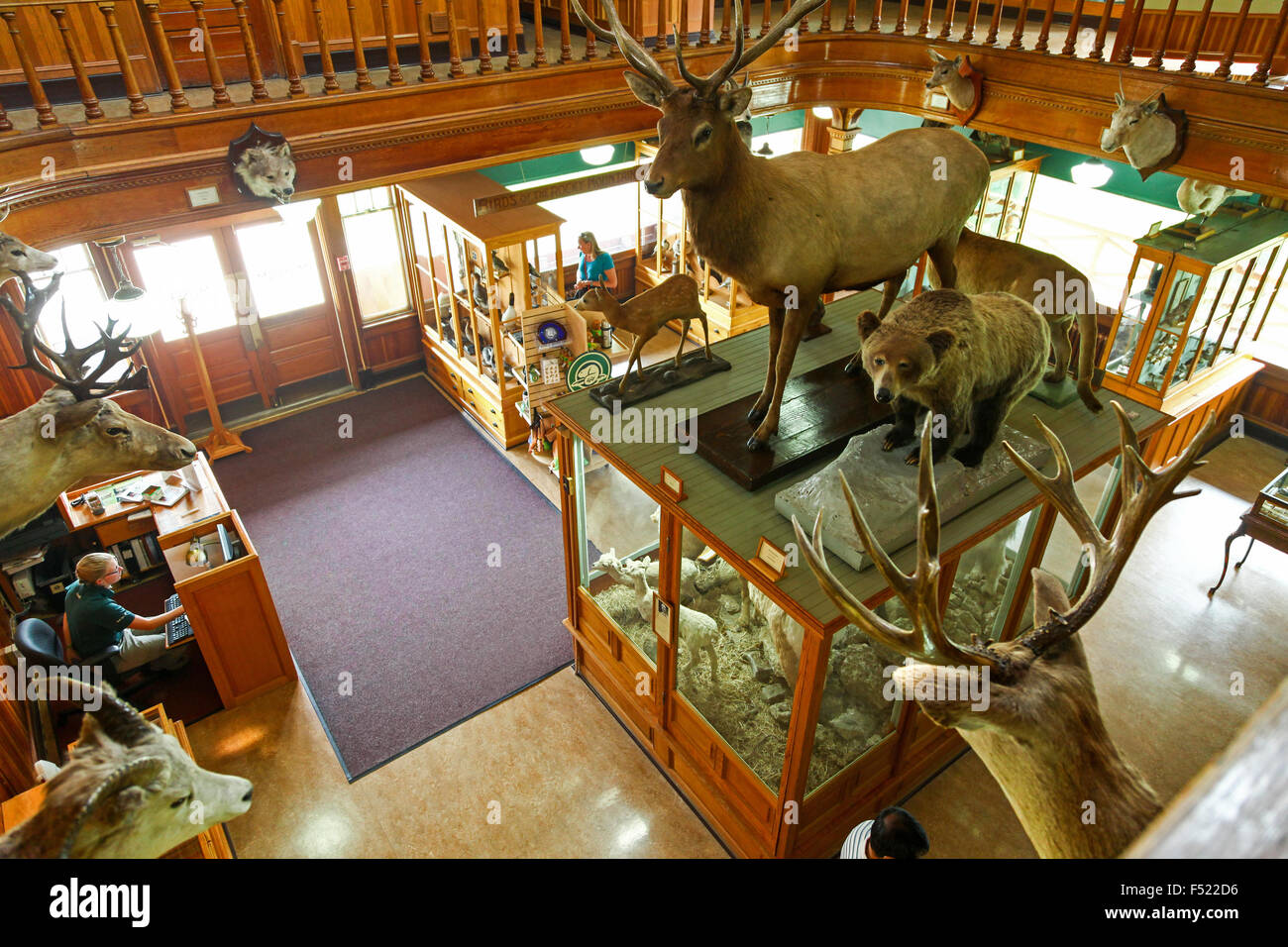 Exhibits inside Banff Park Museum National Historic Site Banff, Alberta ...
