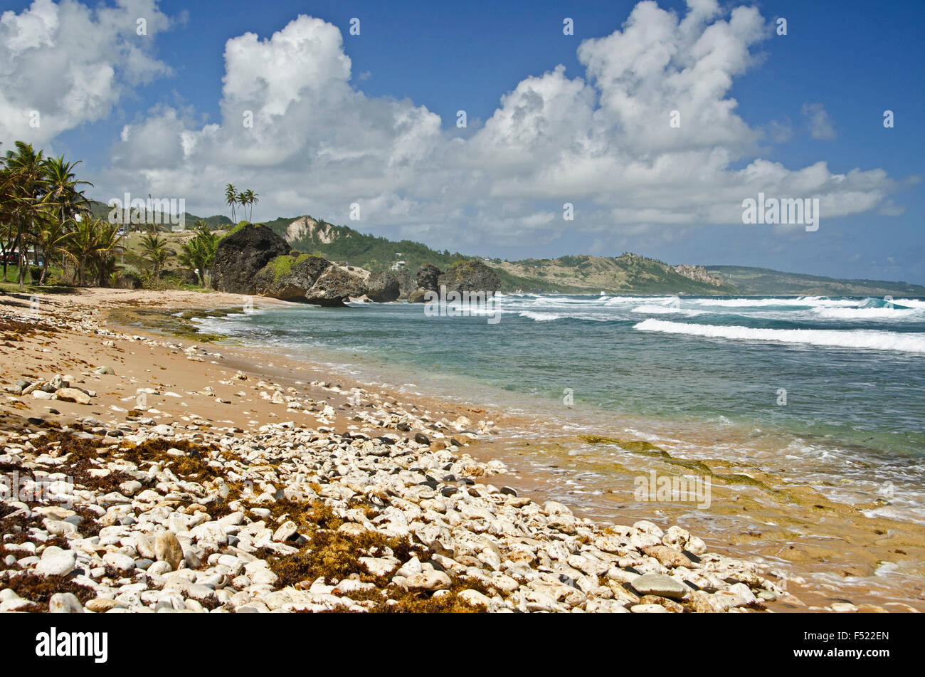 Barbados, Bathsheba, beach Stock Photo - Alamy