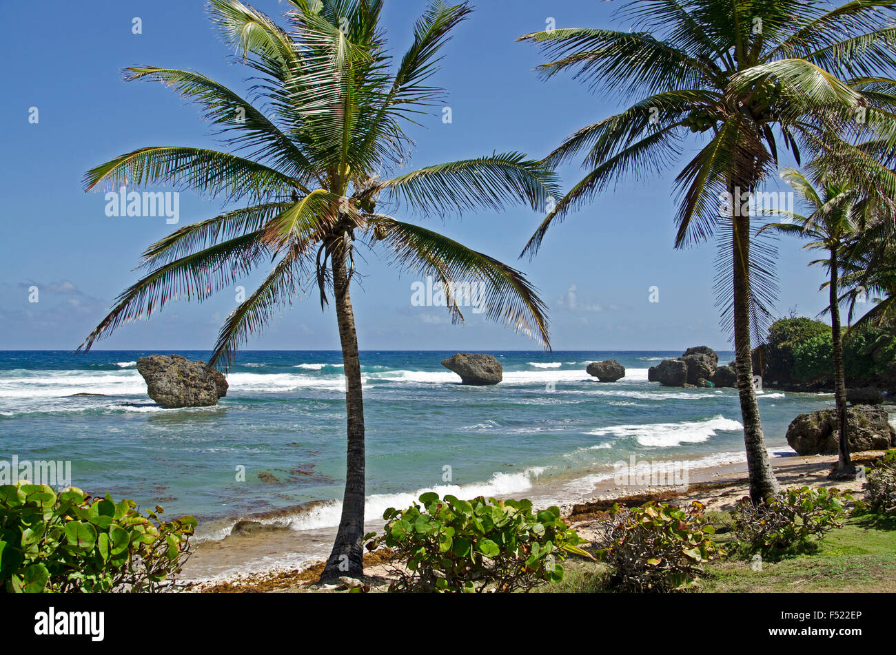Barbados, Bathsheba, beach Stock Photo - Alamy