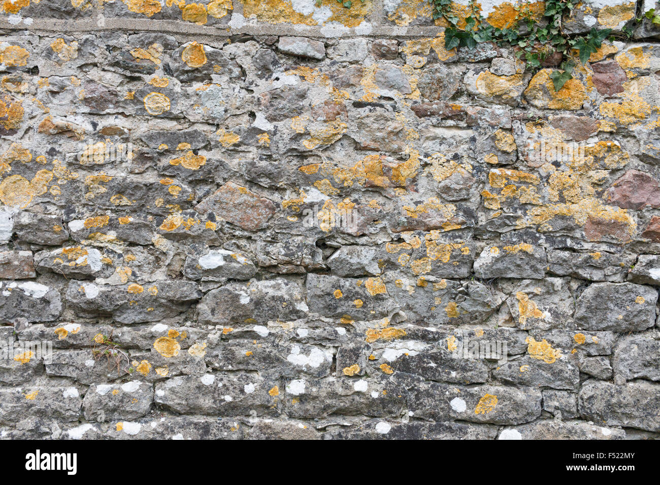 Stone wall with lichens typical for Normandy, France Stock Photo - Alamy