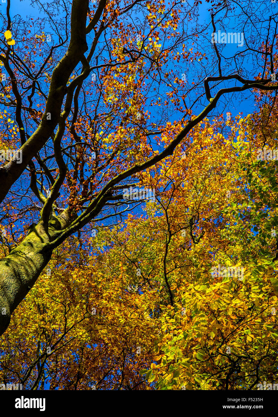 National colors colours hi-res stock photography and images - Alamy