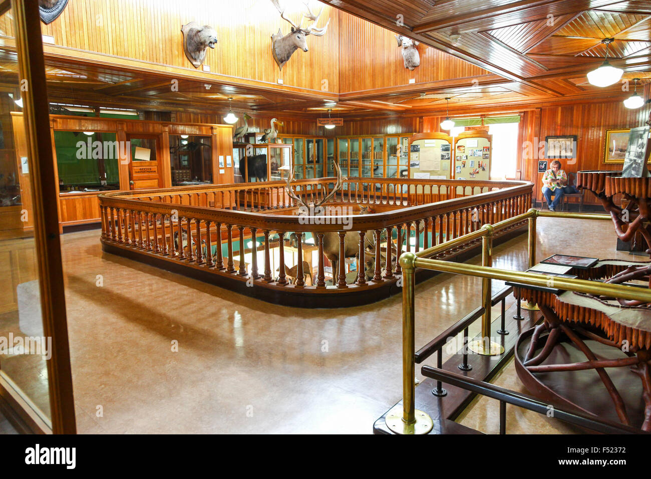 Exhibits inside Banff Park Museum National Historic Site Banff, Alberta ...