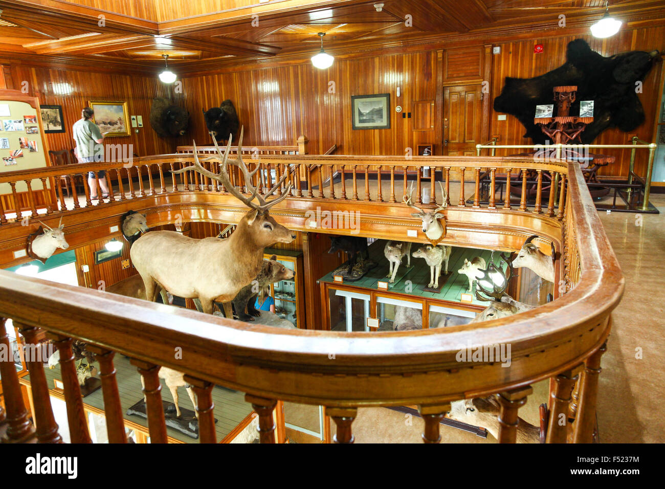 Exhibits inside Banff Park Museum National Historic Site Banff, Alberta ...