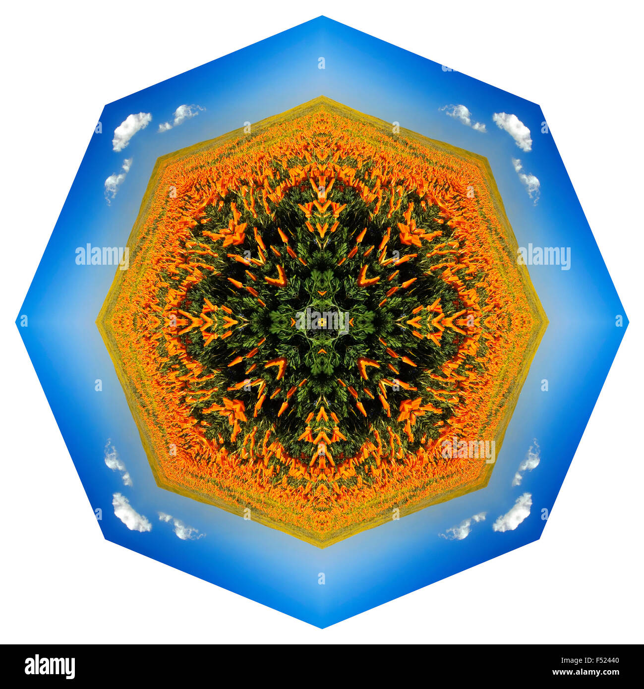 Field ornament Cut Out Stock Images & Pictures - Alamy