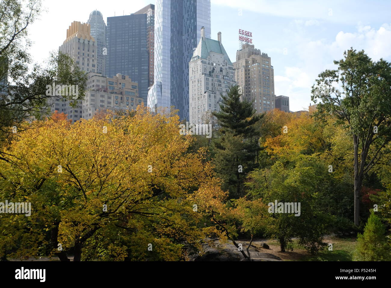 Fall foliage at park hi-res stock photography and images - Alamy