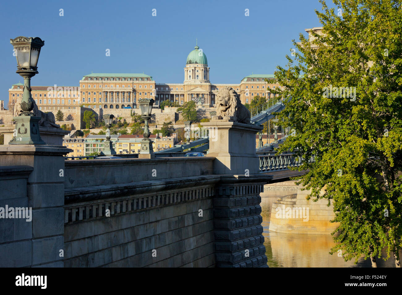 Lion statue, Chain Bridge, Buda Castle, Buda, Budapest, Hungary Stock ...
